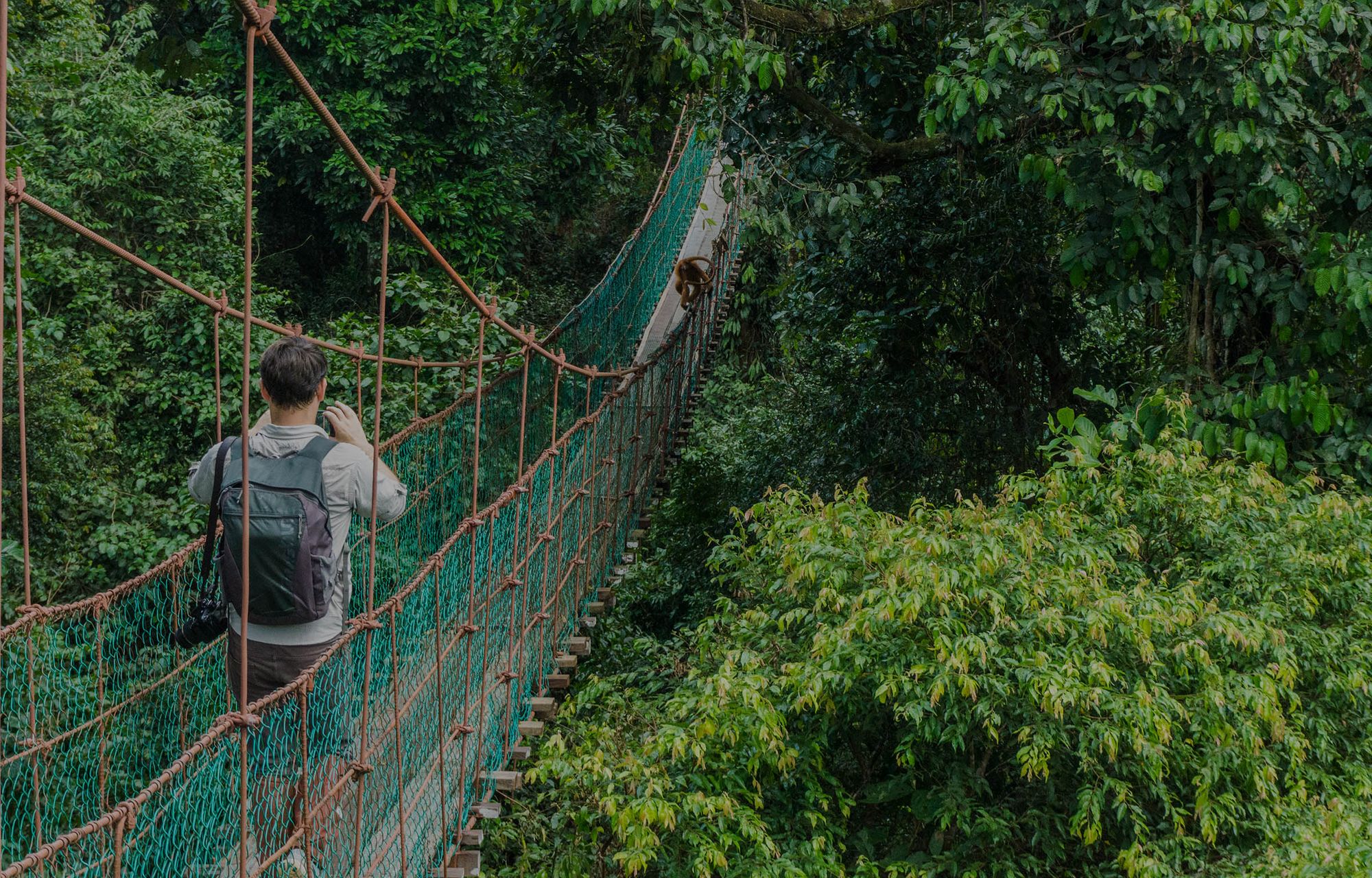 A journey through time: Exploring Borneo's mystical Danum Valley and ...