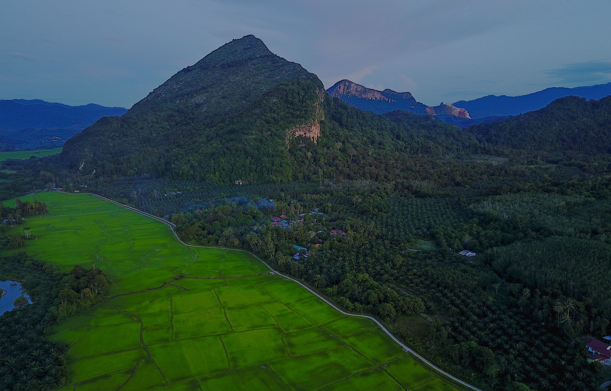 The harmony of paddy and clay: Nature's perfect pairing | Article