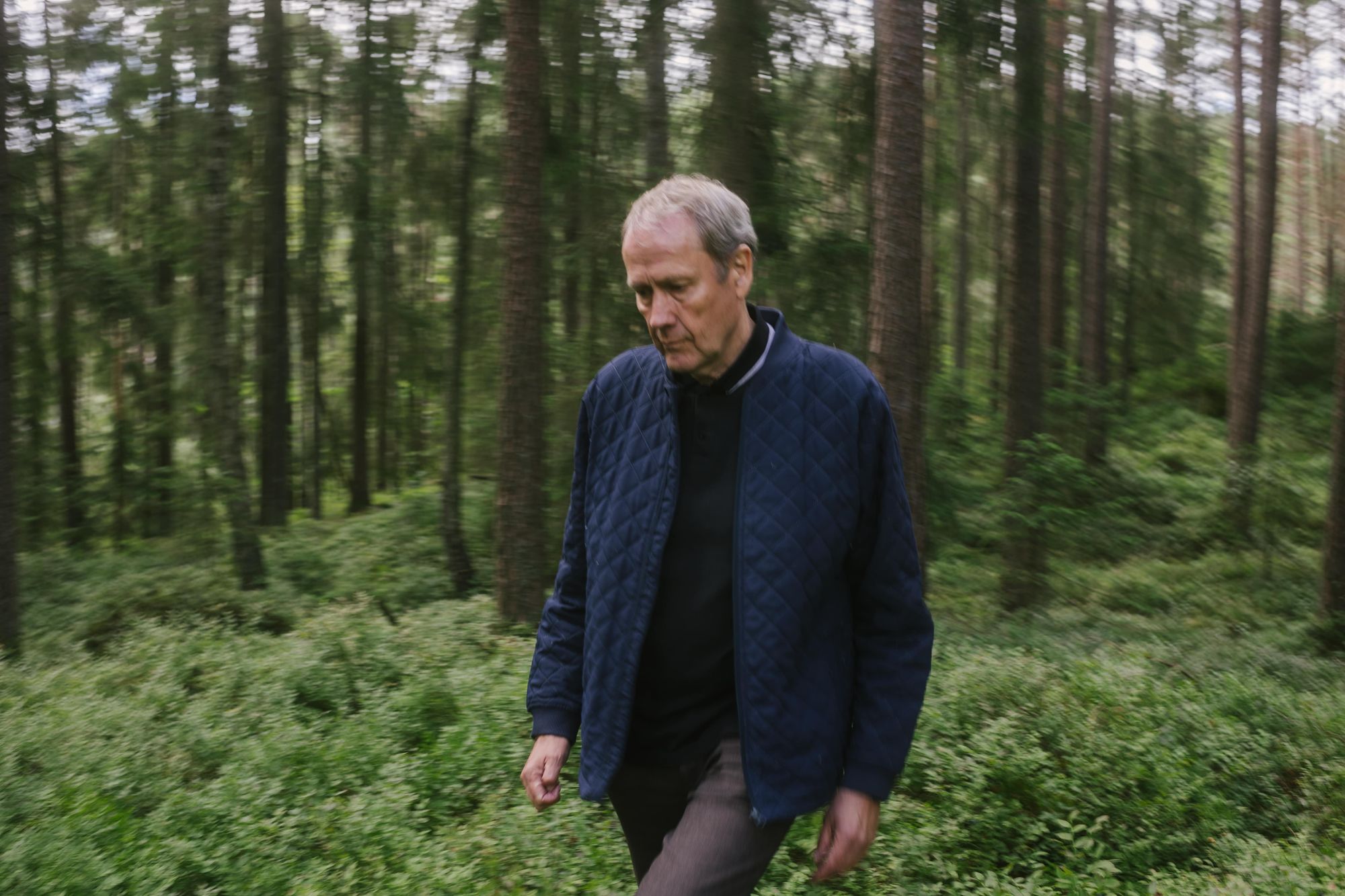 Forest Stewardship Council