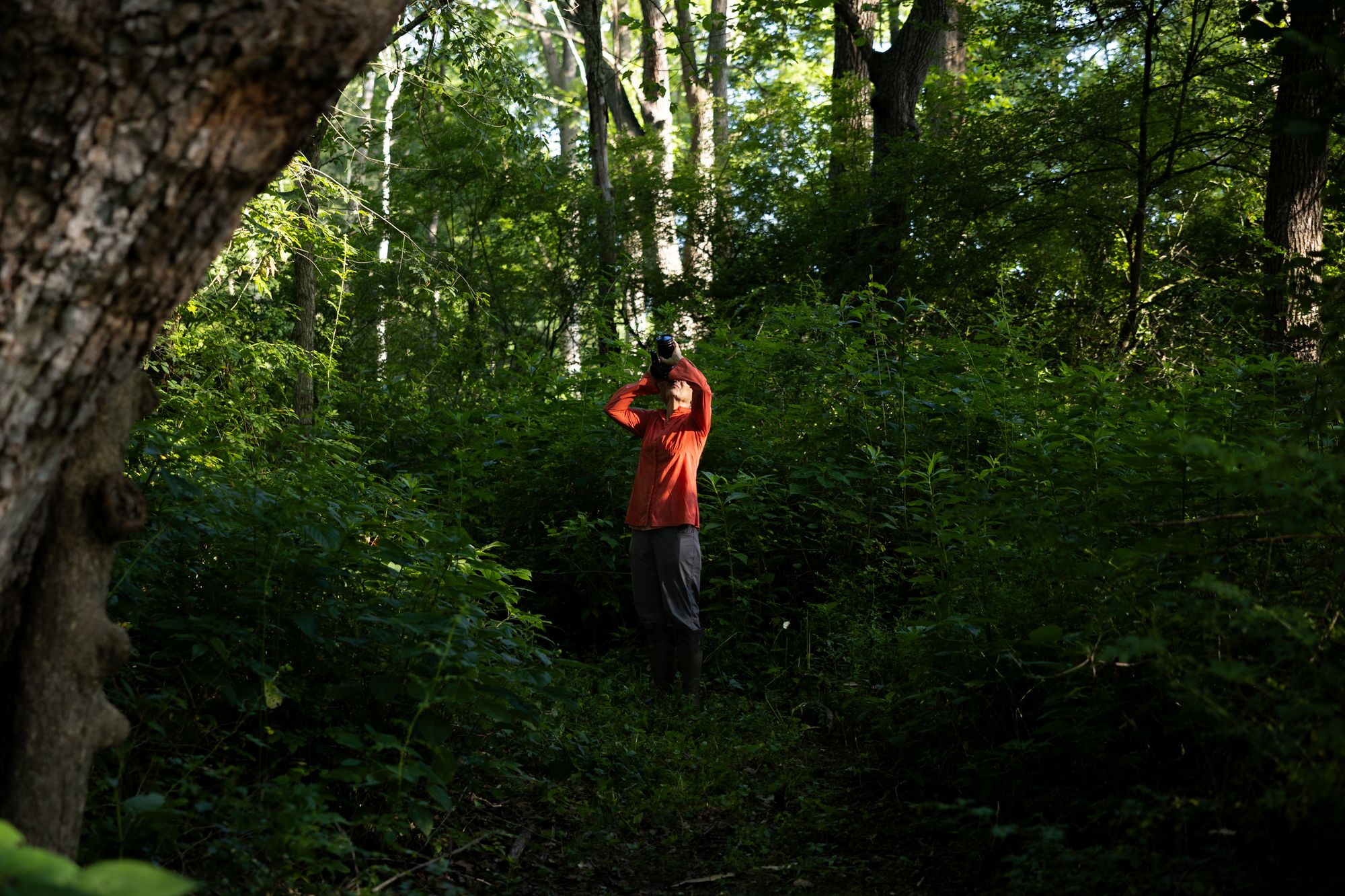 Empowering American families to care for forests