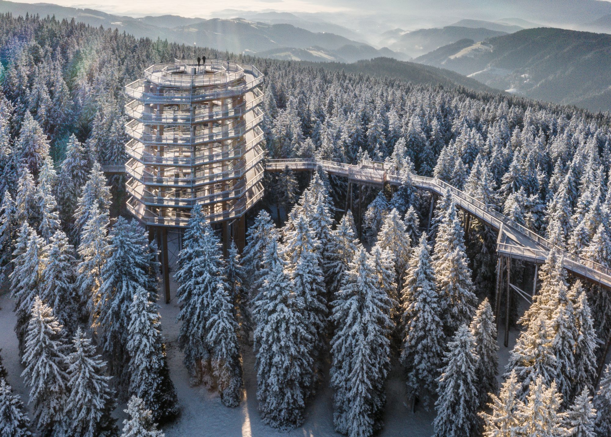 A Wild Side of Slovenia