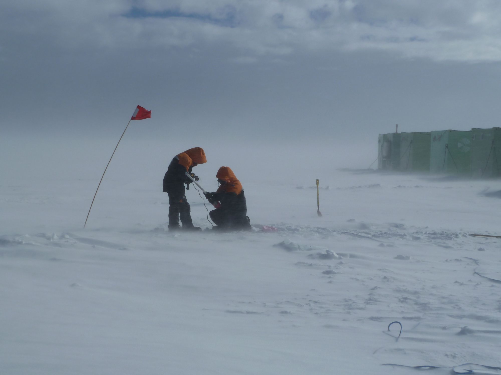 Counting on mathematicians to save the planet