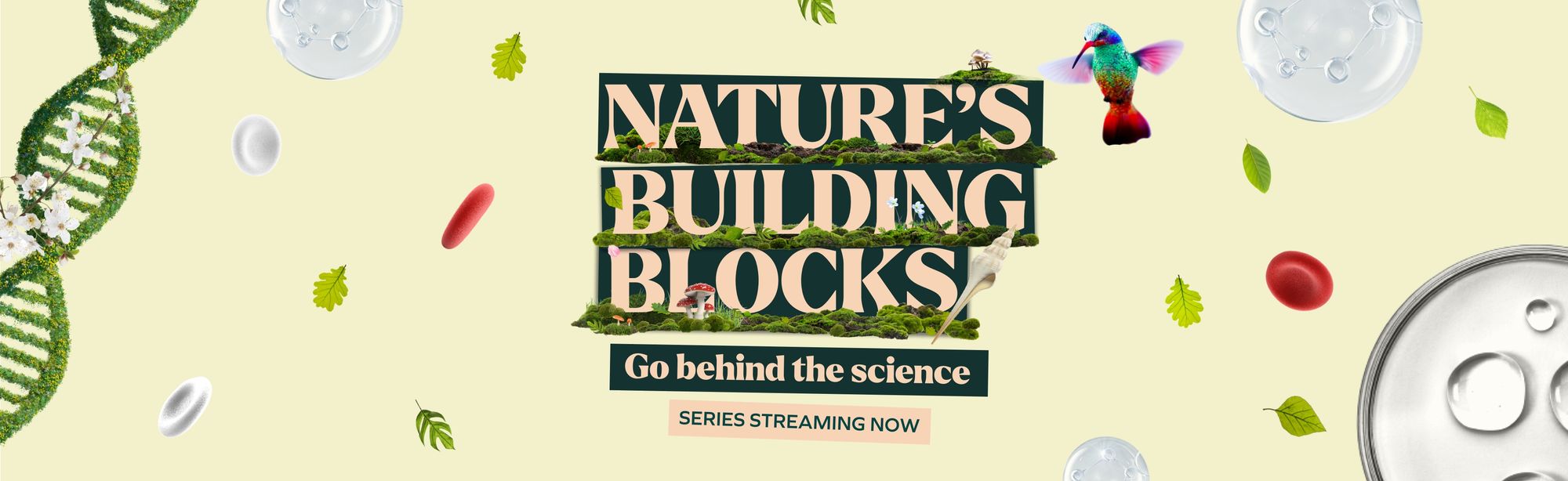 Biology Building Blocks Introducing Bit Bio — Coding Cells, The