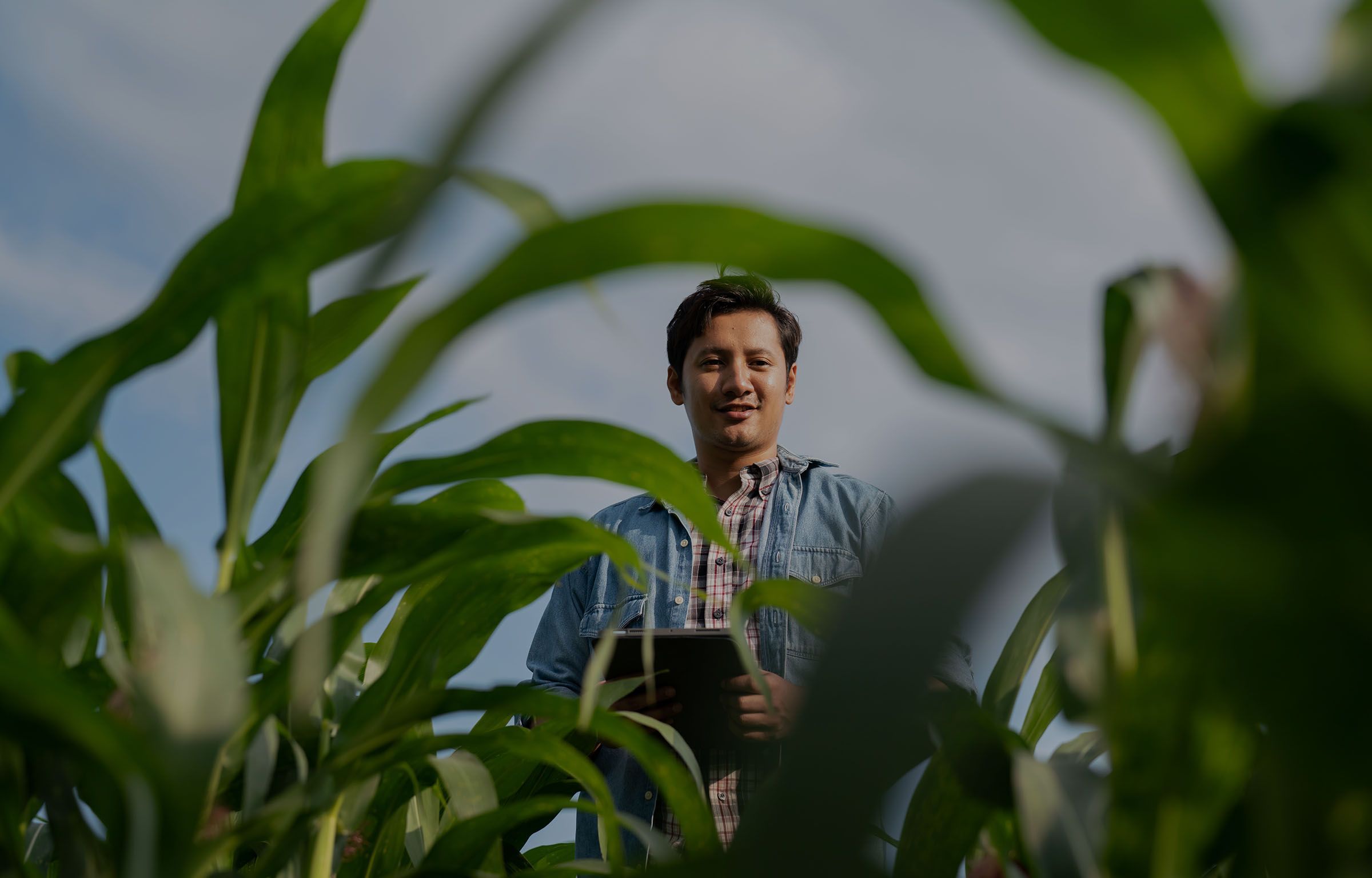 Across the spectrum: How AI can benefit us all | Article