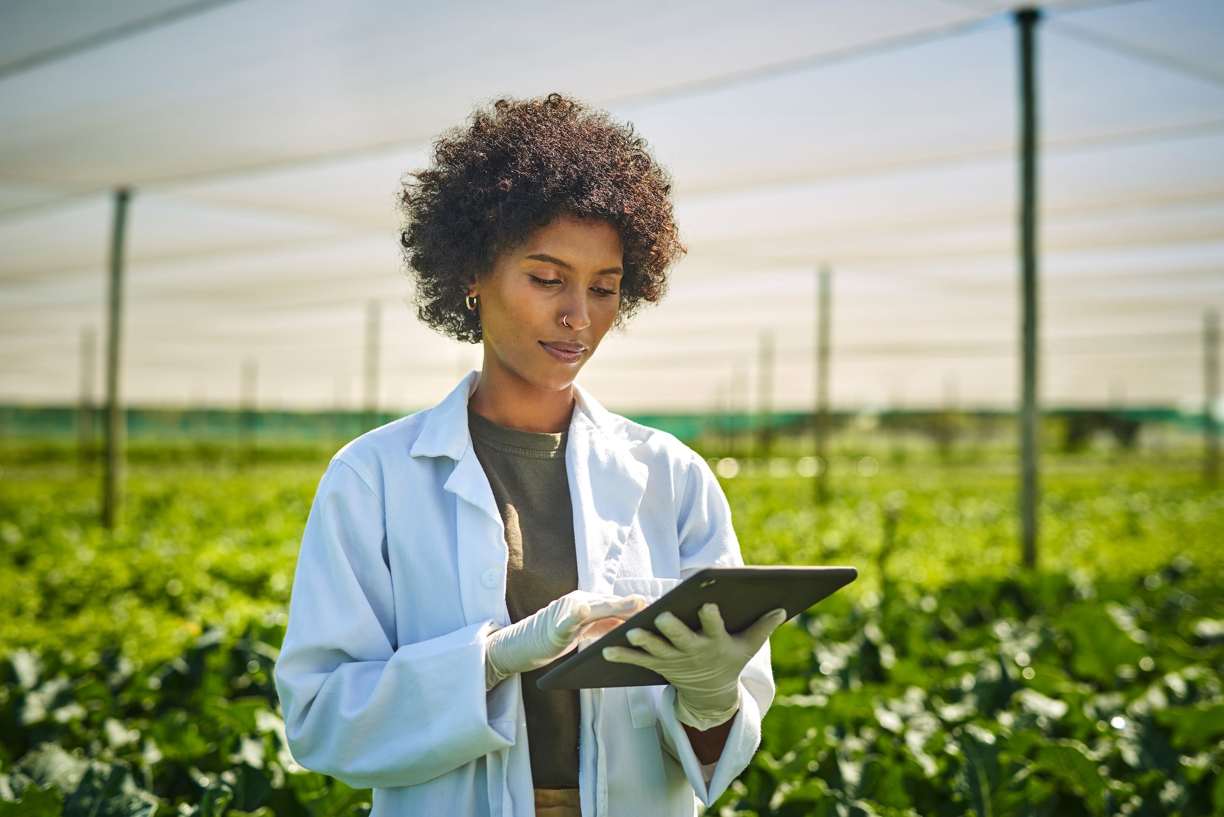 Enabling growth in Africa's agricultural economy - Absa Insights 2