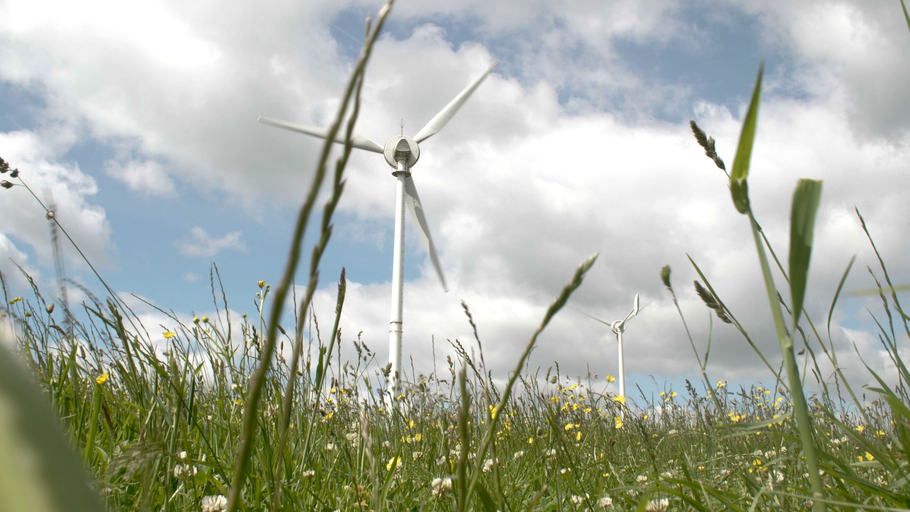 Harnessing the wind