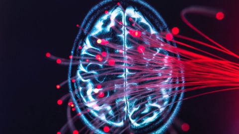 Are we all living in a hallucination? - BBC Reel