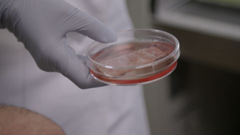 Japan: Creating the first wagyu beef in a lab - BBC Reel