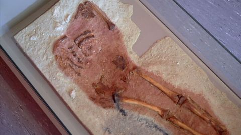 Lapedo Child: A Neanderthal, modern human hybrid? - BBC Reel