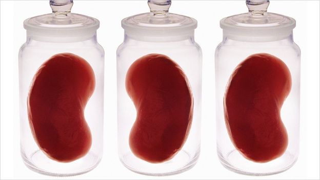 Will we ever... grow synthetic organs in the lab?