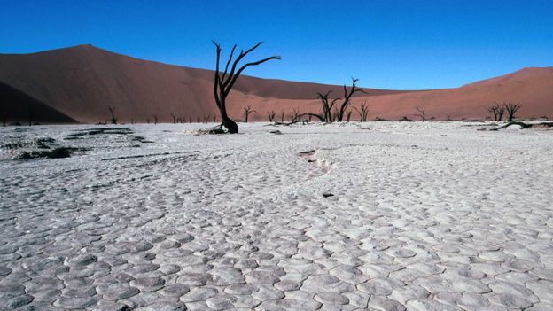 A do-it-yourself Namibian safari