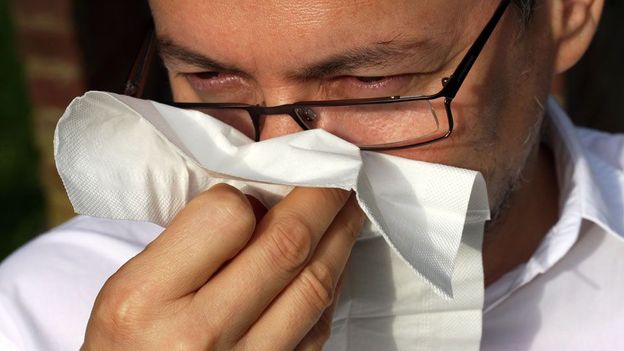 The flu is a frequent traveller