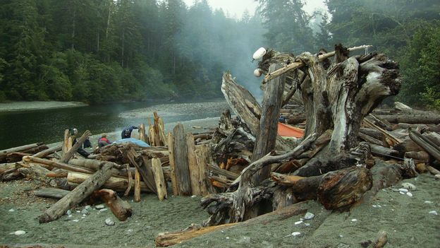 Vancouver Island’s wild side