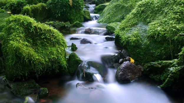 Five ways to experience Tahiti's waterfall valleys