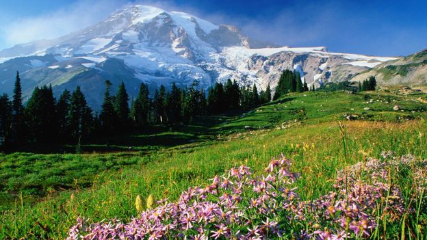 Pacific Northwest Nature Lessons From The Pacific Northwest Mesu