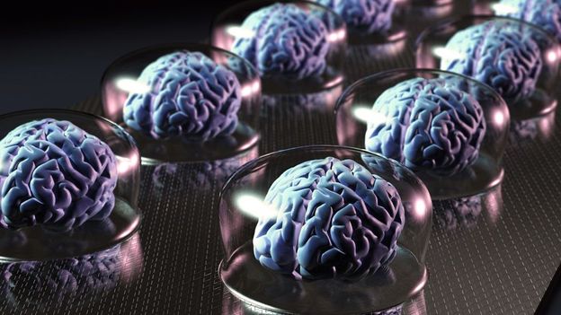 Will we ever… simulate the human brain?