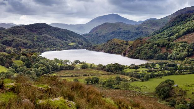 The wild taste of Wales