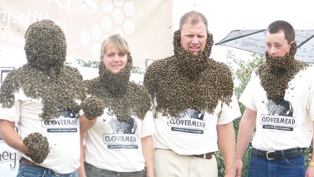 In Canada, a competition for the best bee beard