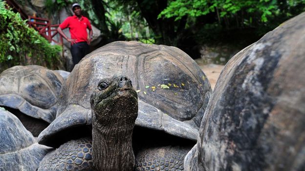 Nature and temptation in the Seychelles