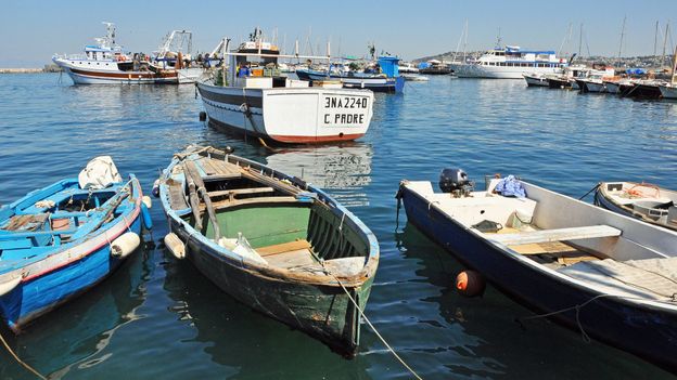 Sea Life Italy