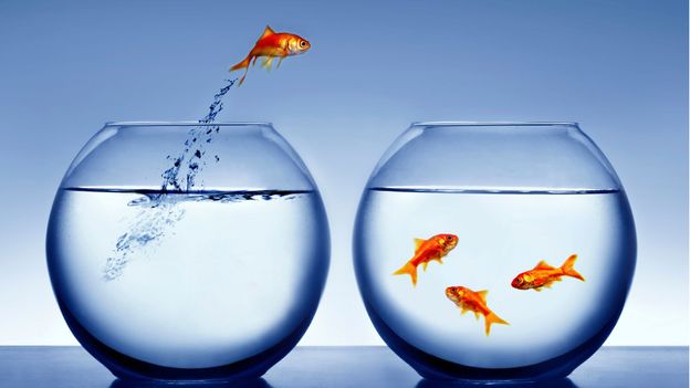 How to make a dramatic career change