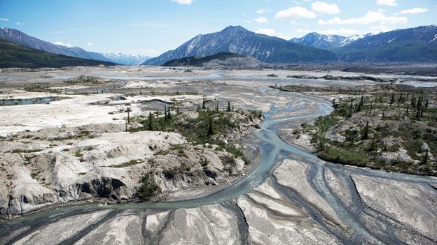 Canada’s wild frontier: Where glaciers and rainforests meet