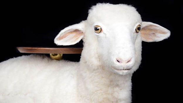 Dalí furniture collection: Dead sheep turned into table