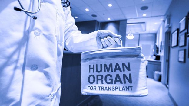 Will we ever… cryopreserve our organs?