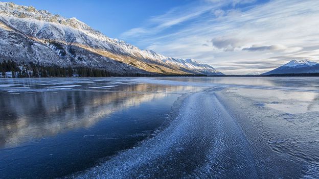 The call of the Canadian wild