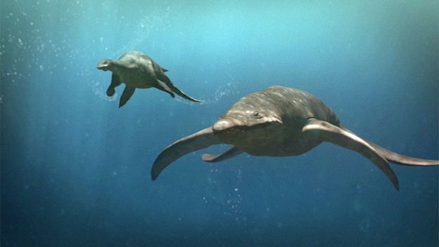 BBC - Earth - Hunting with Predator X