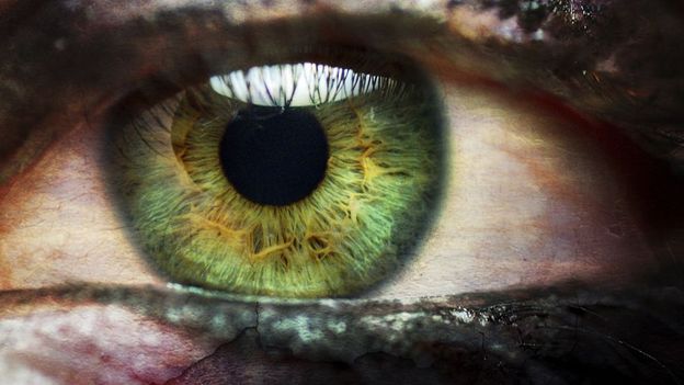 Psychology: the man who studies everyday evil