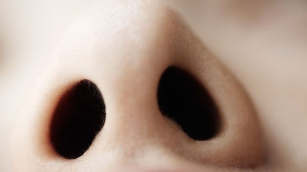 How it feels to live with no sense of smell