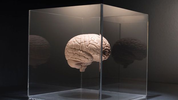 Dos and don’ts to preserve your brainpower