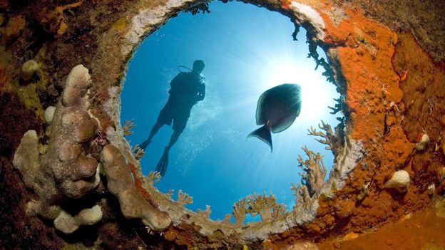 Inside the hunt for a million-dollar haul of ocean gold