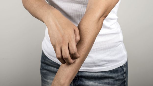 Why it feels so good to scratch an itch