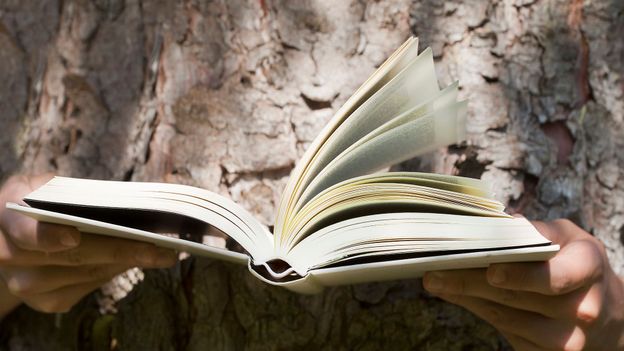 Eight poems on the beauty of the world