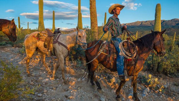 Where people become real-life cowboys