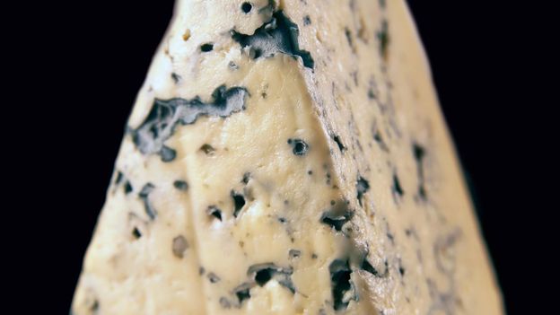 How bugs make cheese delicious