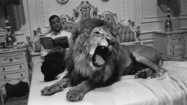 Fascinating moments captured on film