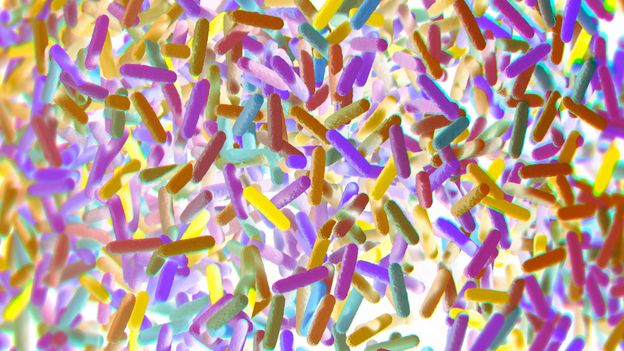 The microbes that help make you and me
