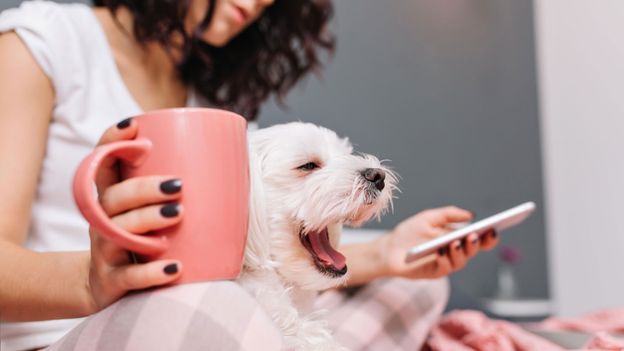 A theory that can help explain why time seems to move slowly