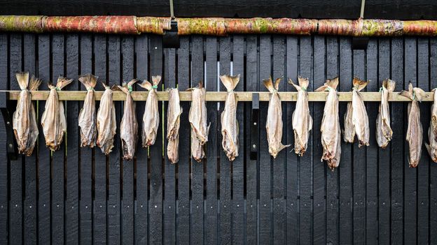 A fish that sparked a national obsession