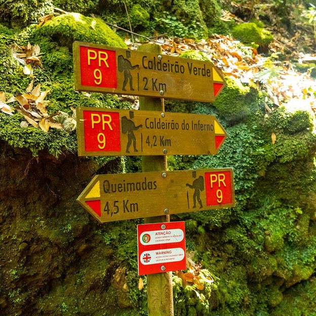 The dark history behind Madeira's famous levadas - BBC Travel