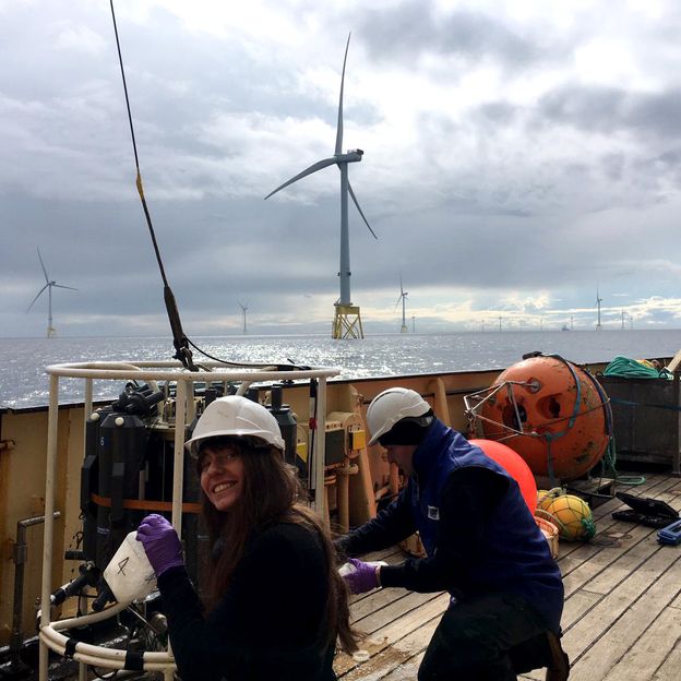 Which is worse for wildlife, wind farms or oil drilling? - BBC Future