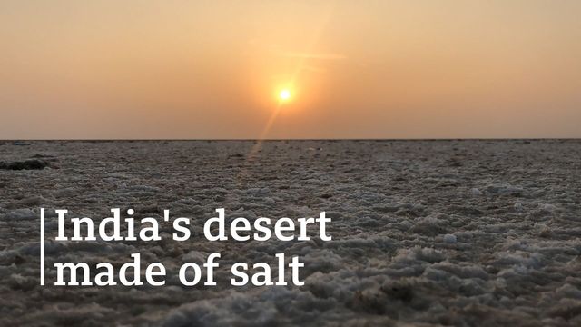 India's extraordinary salt desert - BBC Reel