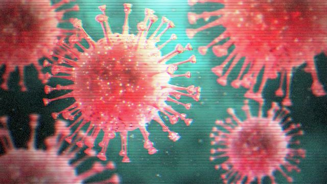 What are viruses? And how do they spread? - BBC Reel