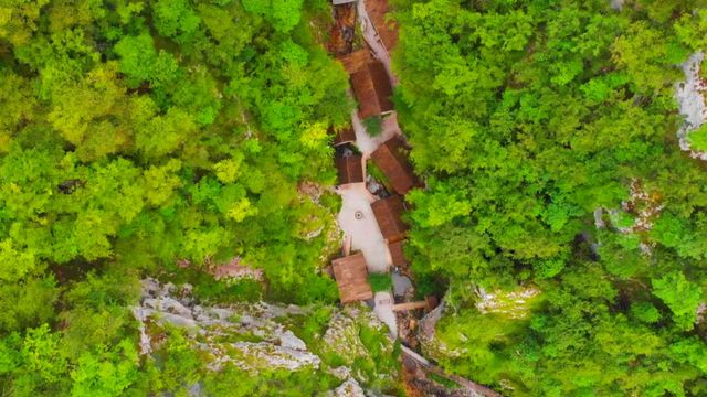 The man who volunteered to be imprisoned in Auschwitz - BBC Reel