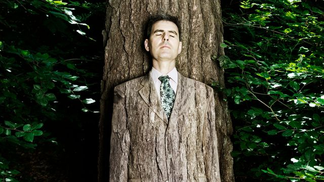 The 'dummy trees' used as WW1 observation posts - BBC Reel