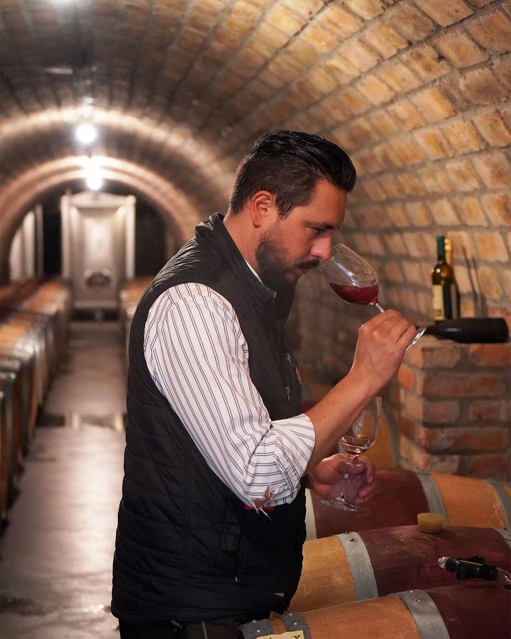 The Arctic Circle: A new frontier for sustainable wine - BBC Travel