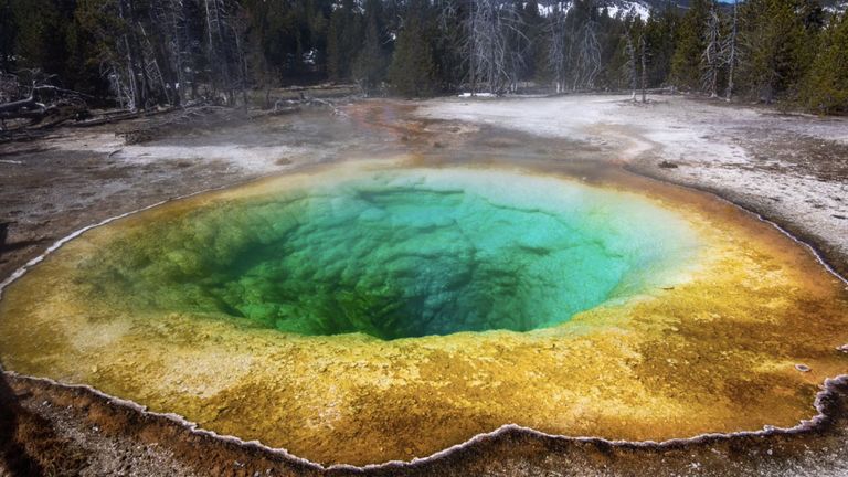 Nature vs Nurture: How your genes shape who you are - BBC Reel